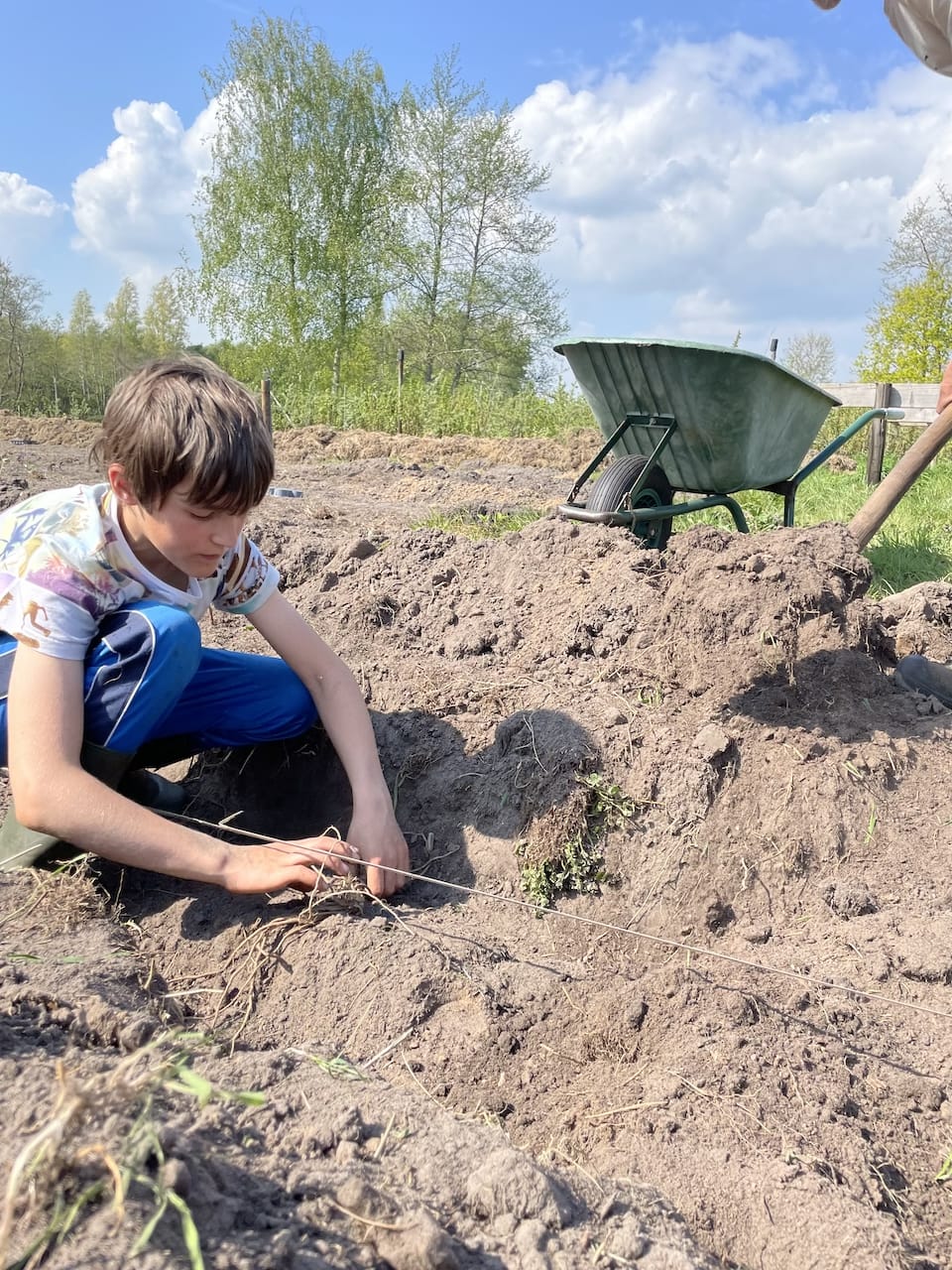 Struikrover Dag Verslag 6 Mei • Fruithof de Struikrover