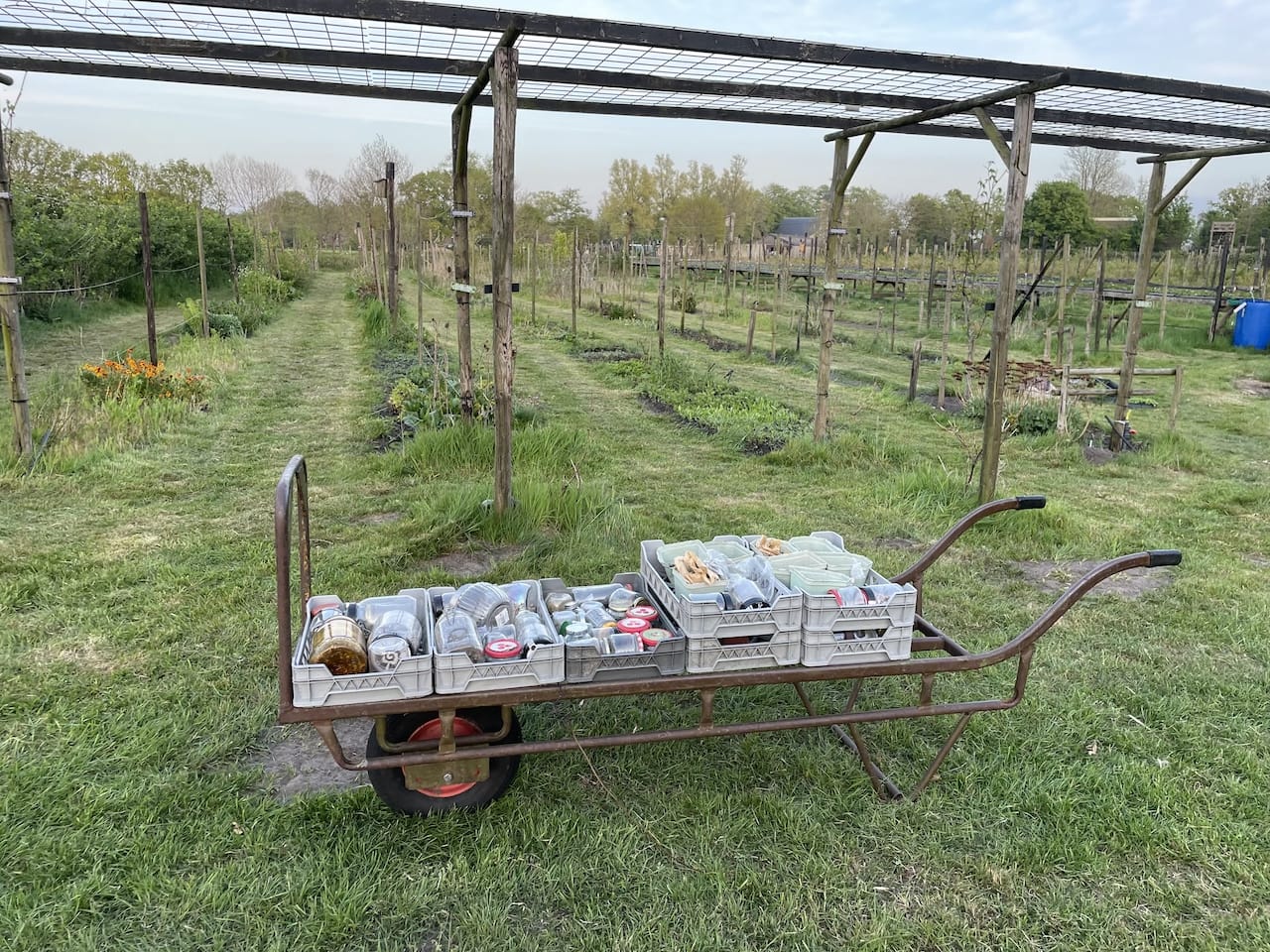 Struikrover Dag Verslag 6 Mei • Fruithof de Struikrover